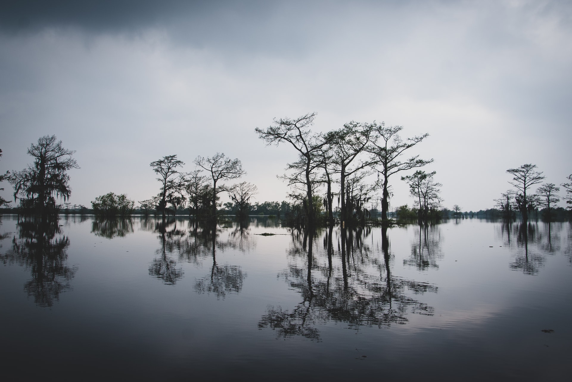 5 Reasons to Visit Louisiana Bayous – PeachTown